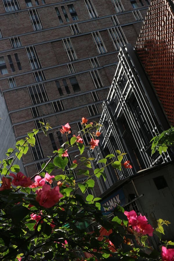 Architecture Design of Modern and Big City Stock Image - Image of ...