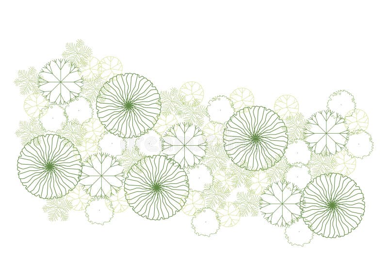 Architecture Drawing Plant Tree Top View Plan Greenery Vegetation ...