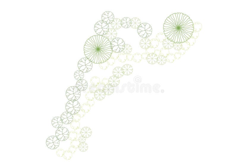 Architecture Drawing Plant Tree Top View Plan Greenery Vegetation ...