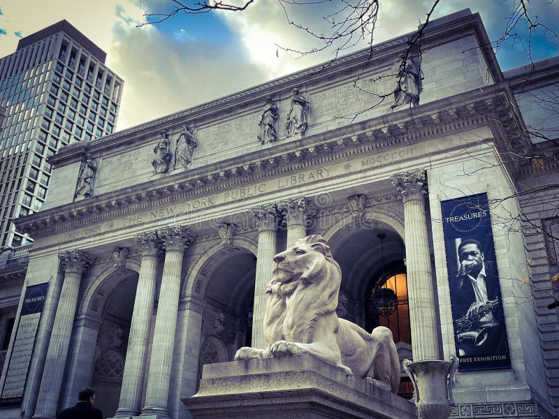 Lion at the library editorial stock image. Image of lion - 258815414