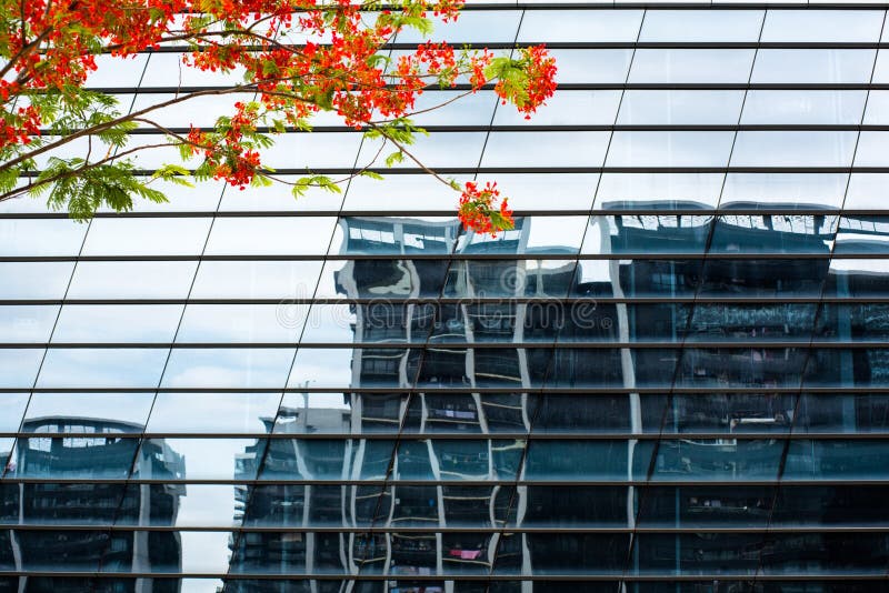 Architecture, Leaf, Structure, Tree Picture. Image: 122700951