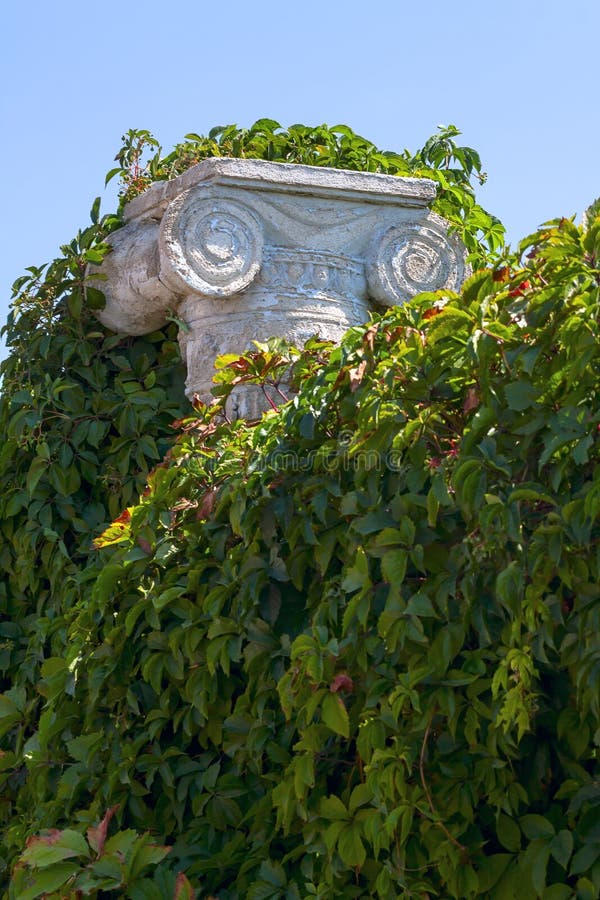 Architecture Pilaster Bushes Column Stock Image - Image of decorative ...