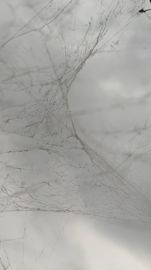 Architecture of Spider Home Click by Mob Stock Photo - Image of ...