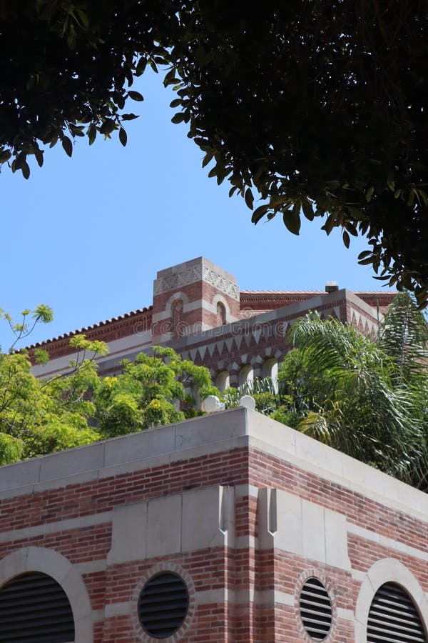 Architecture stock image. Image of ucla, tree, university - 325389803