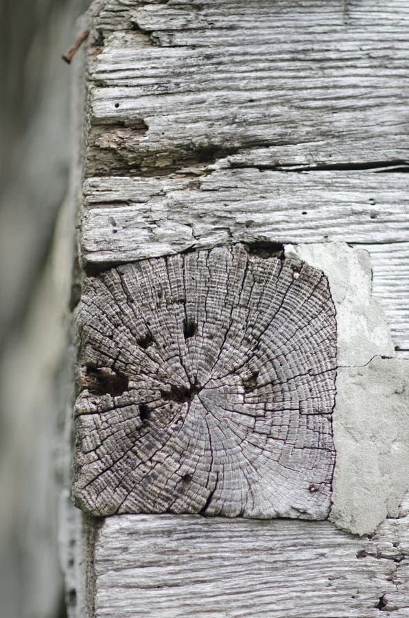Architecture of a Vintage Log Cabin Stock Photo - Image of floor ...