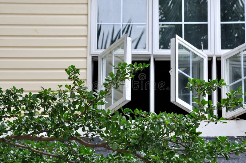 Architecture Window and Tree Branch Stock Photo - Image of green, home ...