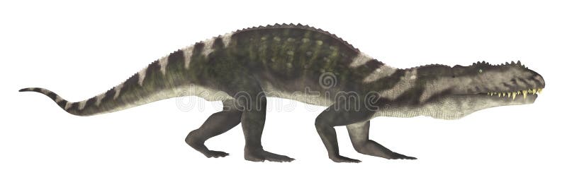 Archosaur Prestosuchus Isolated on White Background Stock Illustration ...
