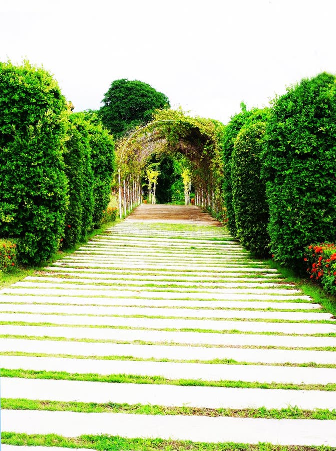 Archway stock photo. Image of lawn, archway, bush, celebration - 49548746