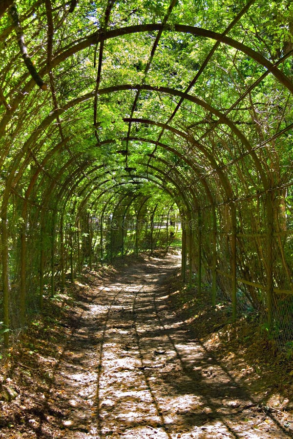 Archway in park stock image. Image of pergola, archway - 19964565