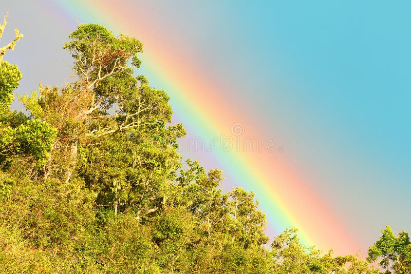 Arco Iris Sobre Selva Tropical Africana Foto de archivo - Imagen de ...