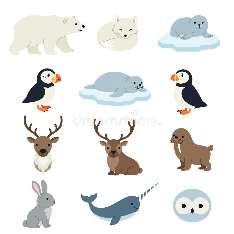 Arctic Animals Vector Set Stock Illustrations – 1,434 Arctic Animals ...