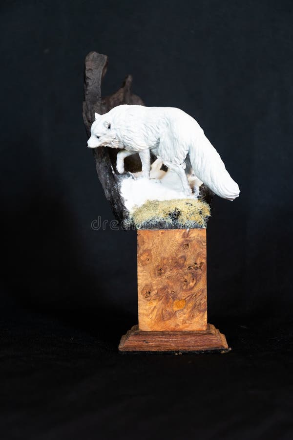 Arctic Fox in the dark stock image. Image of wallpaper - 304475449