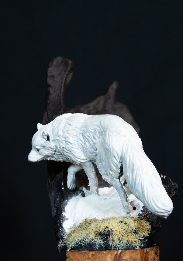 Arctic Fox in the dark stock photo. Image of hill, polar - 304963098