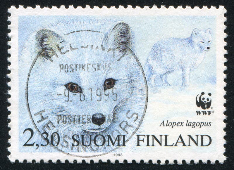 Antique Fox Hunt Stock Illustrations – 93 Antique Fox Hunt Stock ...