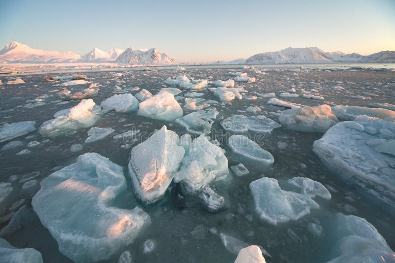 Arctic Landscape - Floating Ice Stock Image - Image of polar, arctic ...