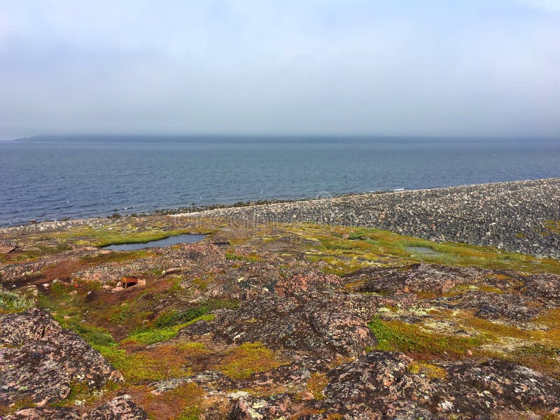 Arctic ocean shore stock photo. Image of shore, rocky - 132002690