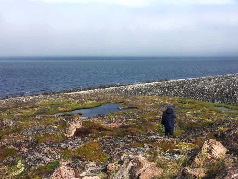 Arctic ocean shore editorial photography. Image of shore - 132002722