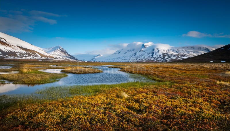 Arctic Tundra Natural Landscape, AI Generated Stock Illustration ...