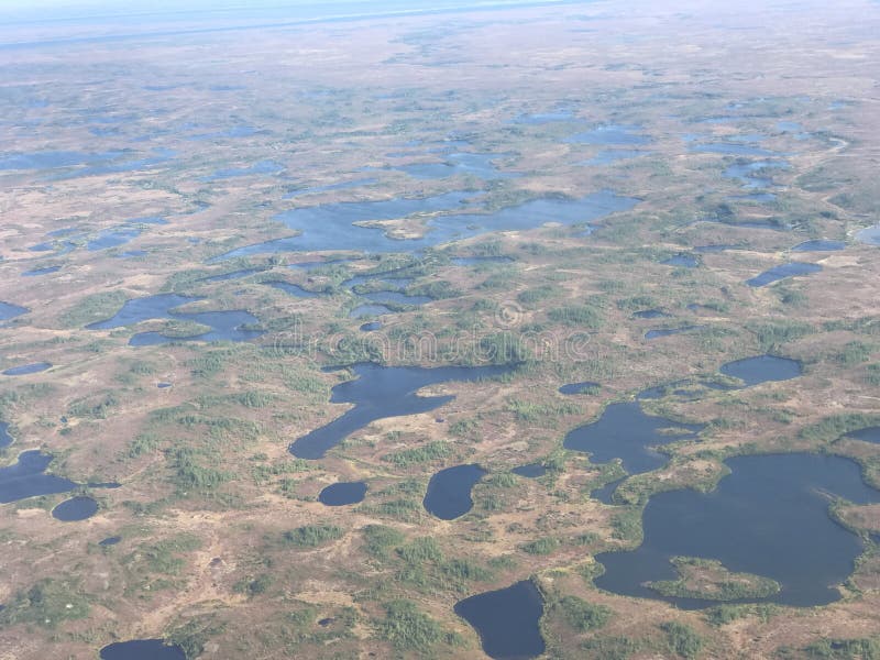 Arctic wetlands stock photo. Image of shot, wetlands - 125243262