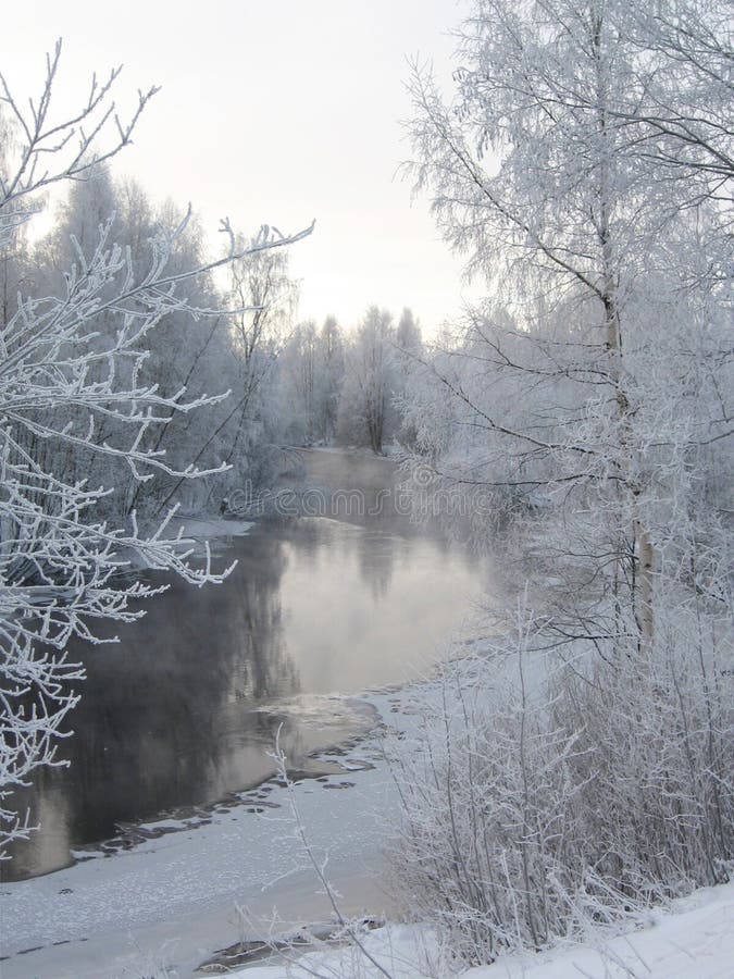 Arctic winter stock photo. Image of christmas, arctic - 6762312