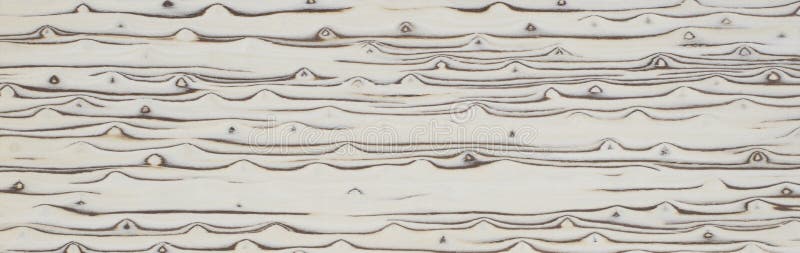 Arctic Wood Exotic Background Stock Photo - Image of natural, bright ...