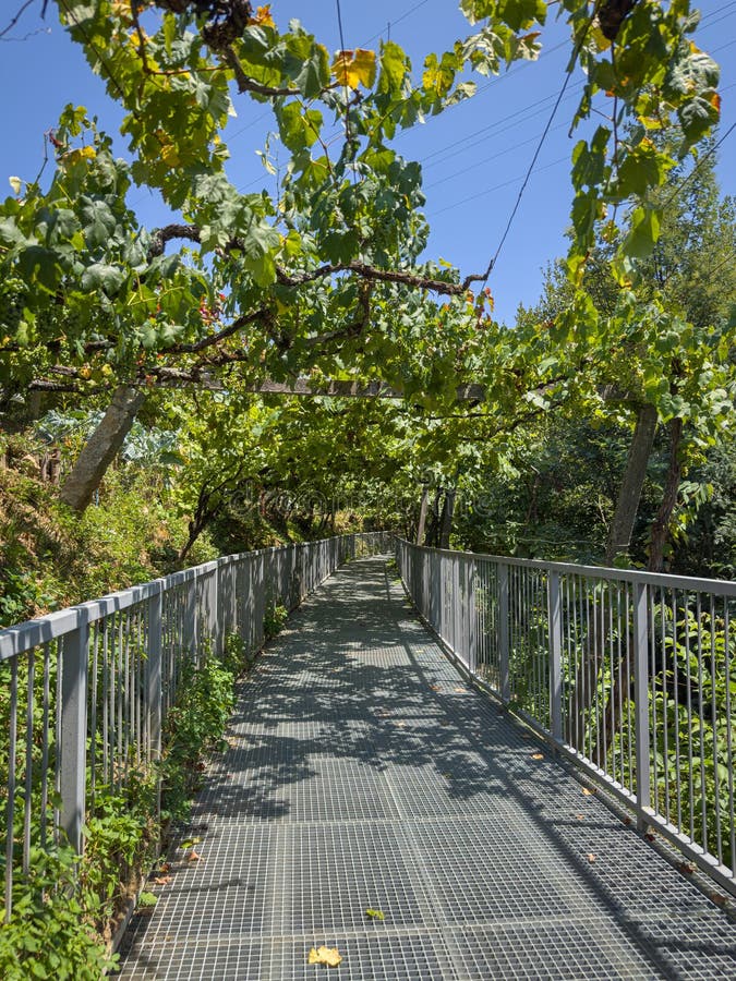 Arda Walkways in Arouca Municipality, Aveiro - Portugal Stock Image ...