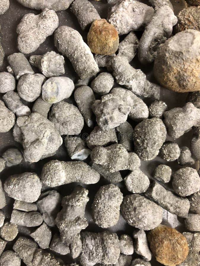 Arden Pyrite Nodules image stock. Image du roche, noeuds - 128681055
