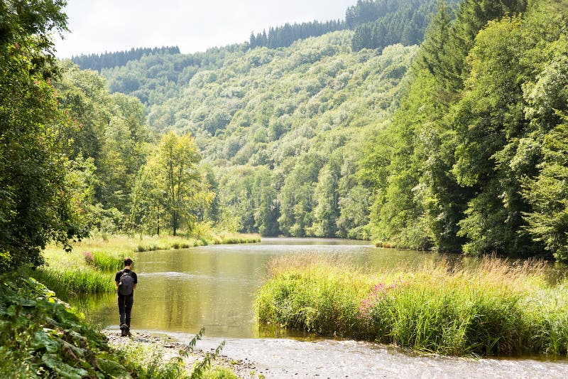 Walking Path Through An Ardennes Forest Stock Photo - Image of sports ...