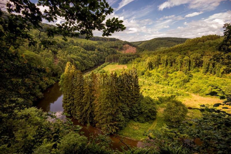 Ardennes Forest stock image. Image of trees, mountains - 77518639