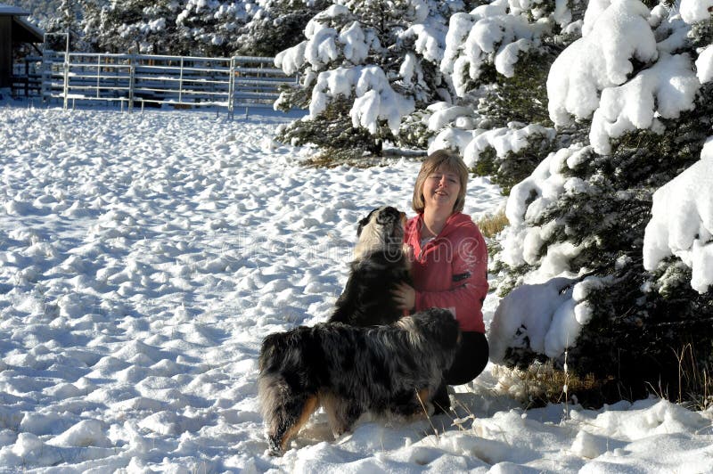 Ardent and Affectionate Pets Stock Image - Image of expressions ...