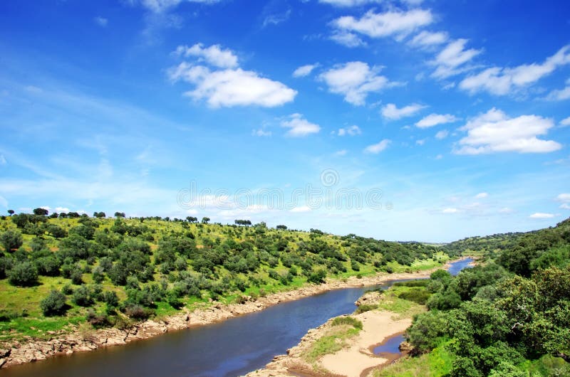 Ardila River on Deep Valley Stock Photo - Image of deep, locations ...