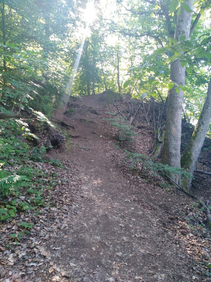 Arduous Path, Way on an Bumpy Safari Road. only Passable with 4x4 ...