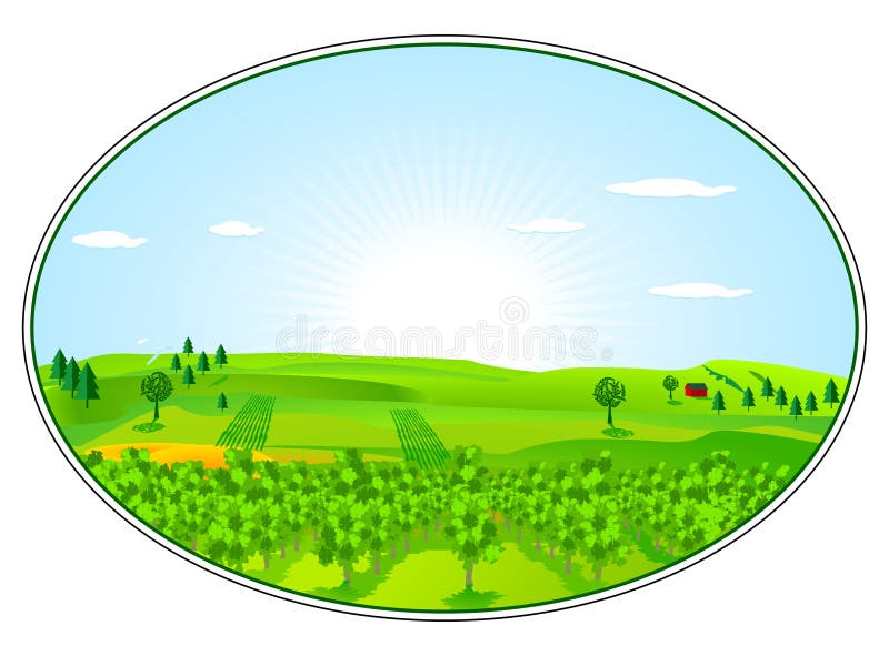 Area for agricultural stock vector. Illustration of plants - 16870914