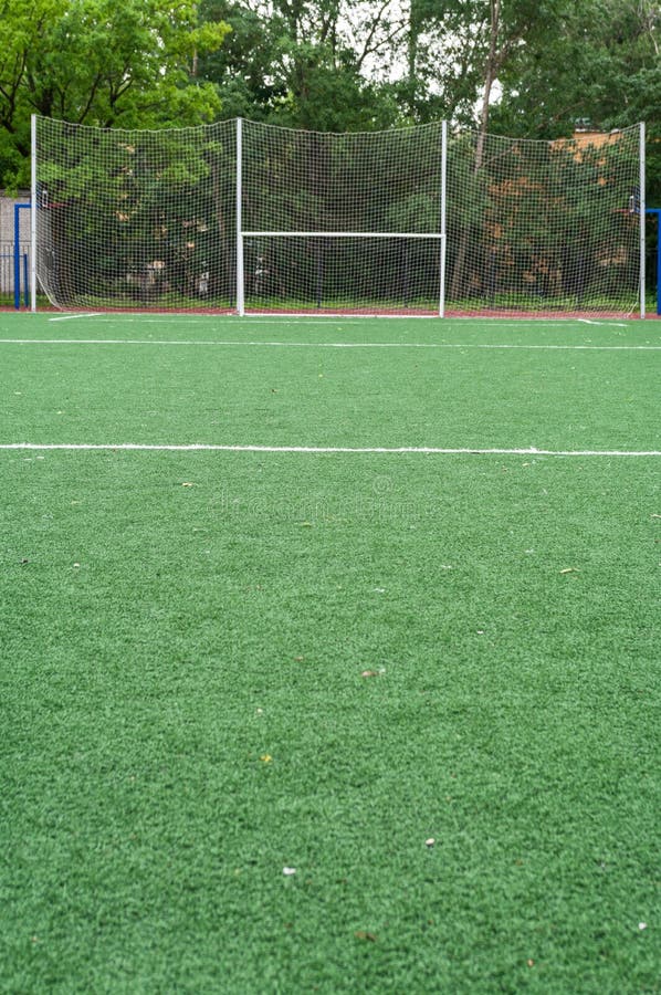 Area of Artificial Turfed Playing Field with Goal and Protective Grid ...