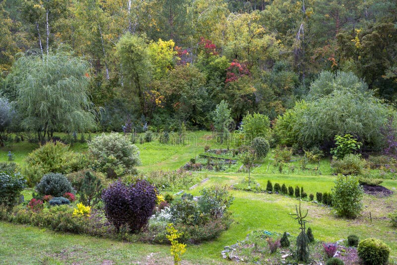 The Area of the Garden with Young Plants Stock Photo - Image of nature ...