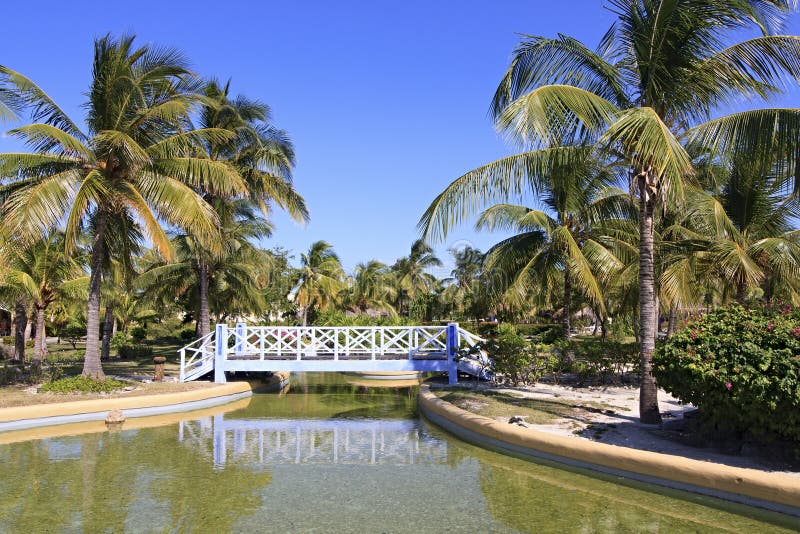 Area of Hotel Sol Cayo Largo. Stock Image - Image of cuba, nature: 25401869