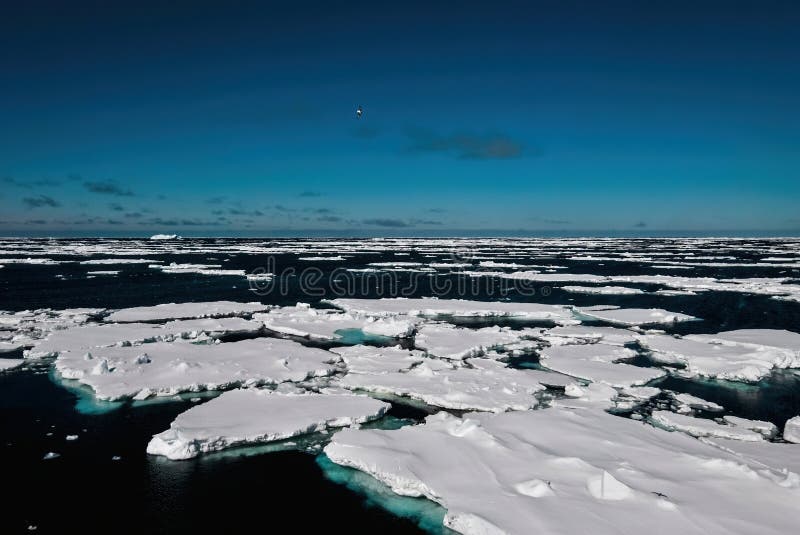 Area of ice floes stock photo. Image of scenery, south - 366487714
