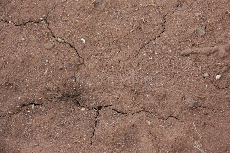 Road from the Ground Level with Green Bokeh Background Stock Image ...