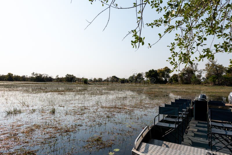 Area of the Okawango Delta at Nxamaseri in Botswana Stock Photo - Image ...