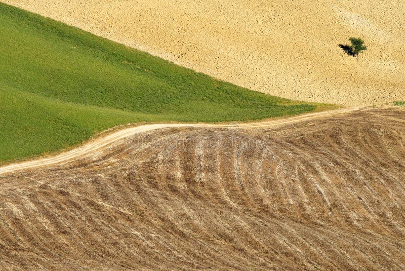 Areal View Of Land, Top View Of Land, Texture Of Soil , Wallpaper Stock ...