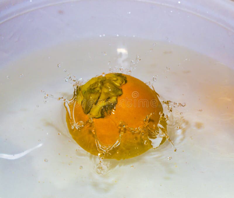 Areca Catechu of India with Green and Orange Stock Image - Image of ...