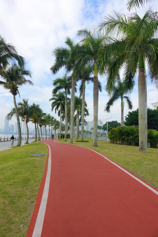 Read Walkpath Stock Photos - Free & Royalty-Free Stock Photos from Dreamstime