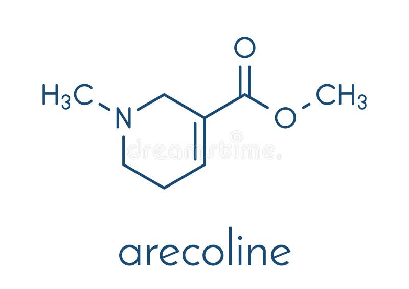 Arecoline Areca Nut Stimulant Compound, Chemical Structure. Skeletal ...
