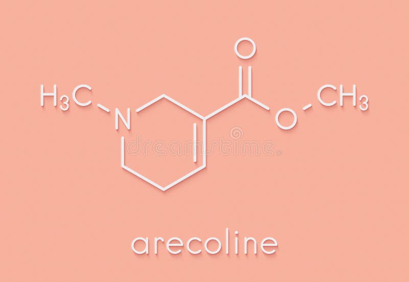 Arecoline Areca Nut Stimulant Compound, Chemical Structure. Skeletal ...