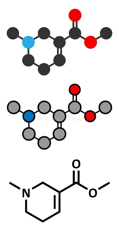 Arecoline Areca Nut Stimulant Compound, Chemical Structure. Skeletal ...