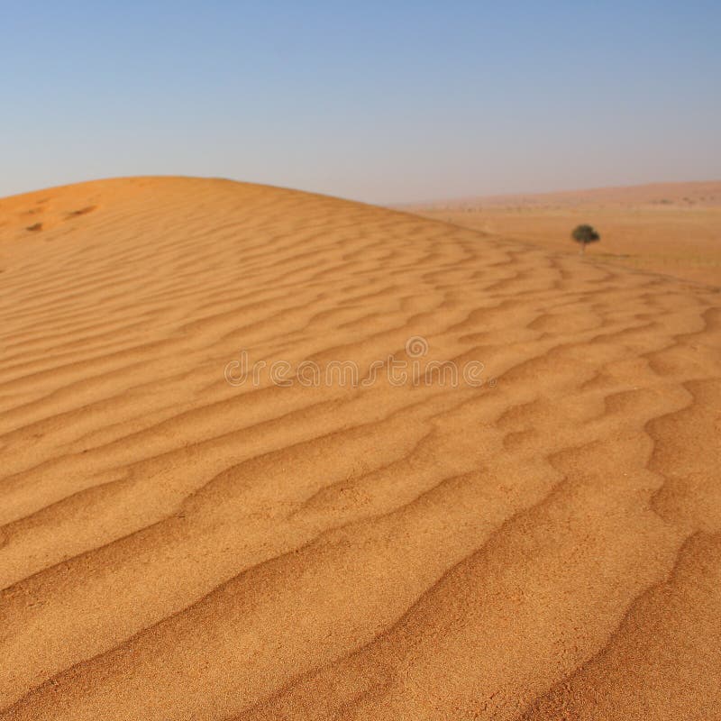 Textura Da Areia Do Deserto Imagem de Stock - Imagem de deserto, nave ...