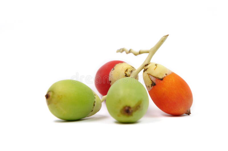 Owoc areki obraz stock. Obraz złożonej z tropikalny, plenerowy - 15006407