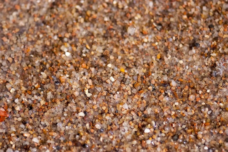 Arena De Mar Mojada, Cierre Encima De La Visión Foto de archivo ...