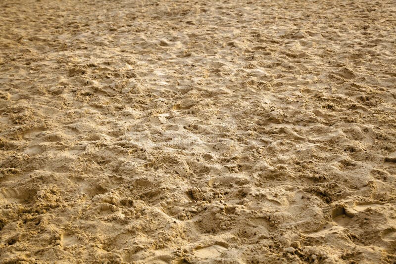 Arena húmeda foto de archivo. Imagen de modelo, foreground - 30043544