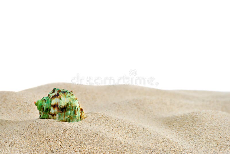 Arena y shell imagen de archivo. Imagen de pila, fondo - 24301251
